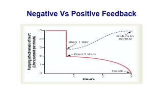 Homeostasis & Control Mechanisms of The Body | PPTX
