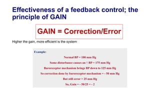 Homeostasis & Control Mechanisms of The Body | PPTX
