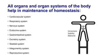 Homeostasis & Control Mechanisms of The Body | PPTX