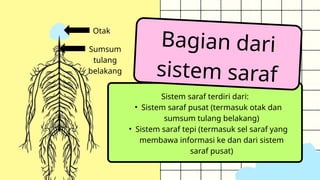 sistem saraf homeostasis untuk kelas 9 smp/mts | PPTX