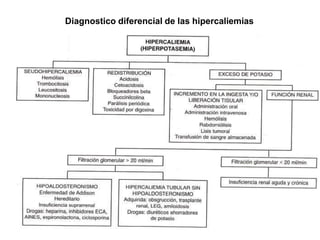 Homeostasis de electrolitos.pptx