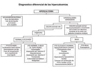 Homeostasis de electrolitos.pptx