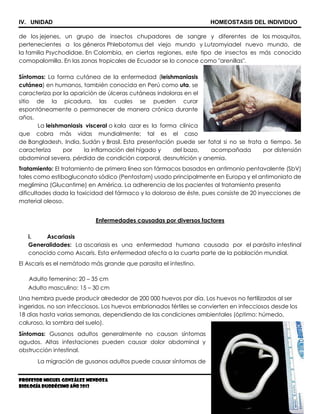 Homeostasis del cuerpo humano | PDF