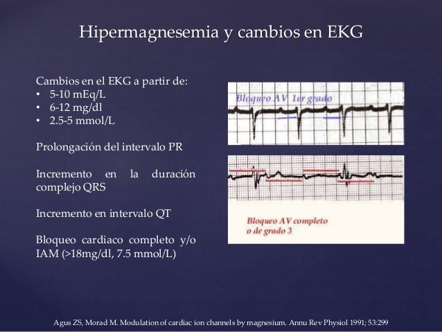 Homeostasis del magnesio e hipermagnesemia