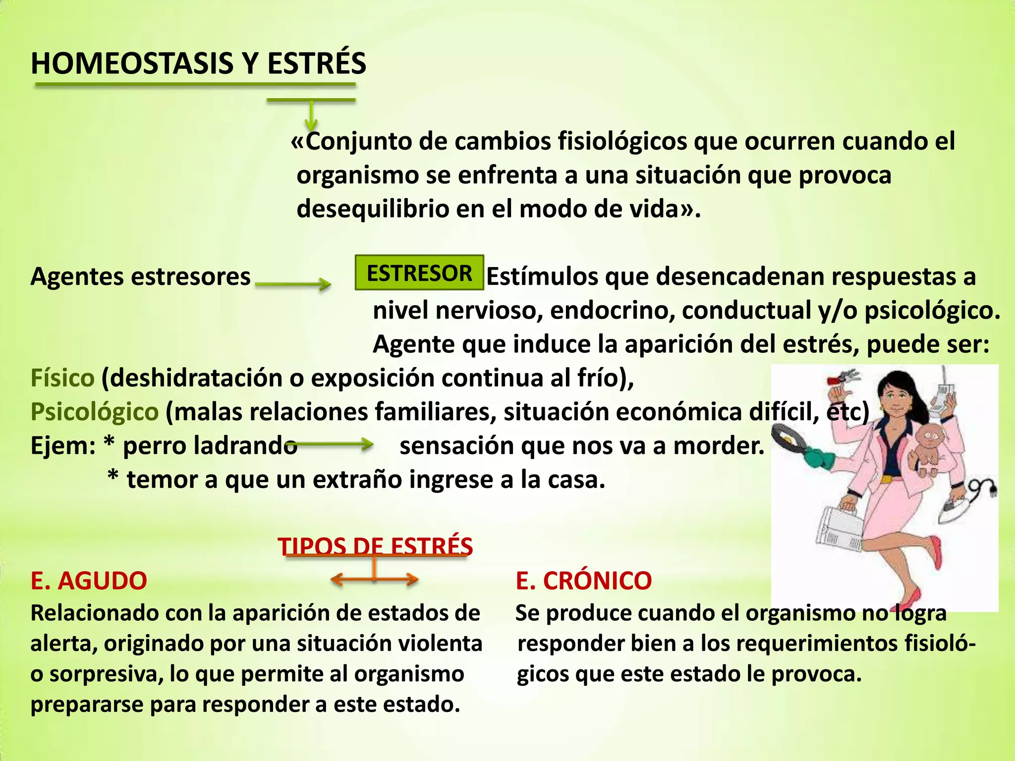 Homeostasis, equilibrio interno 2012 | PPTX