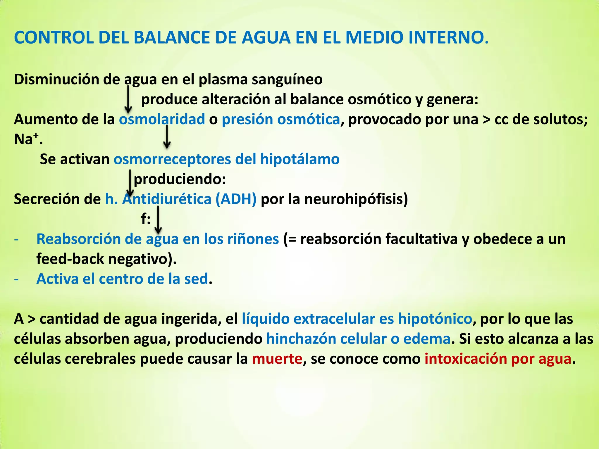 Homeostasis, equilibrio interno 2012 | PPTX
