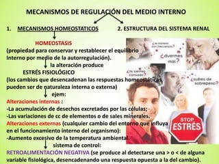 Homeostasis, equilibrio interno 2012 | PPTX