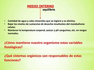 Homeostasis, equilibrio interno 2012 | PPTX