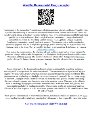 Homeostasis Essay | PDF