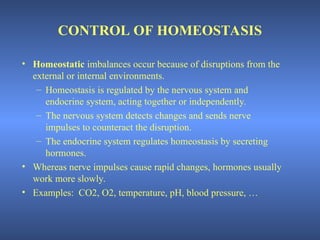 homeostasis feedback.ppt Thermal Regulation | PPT