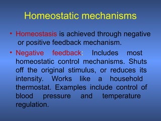 homeostasis feedback.ppt Thermal Regulation | PPT