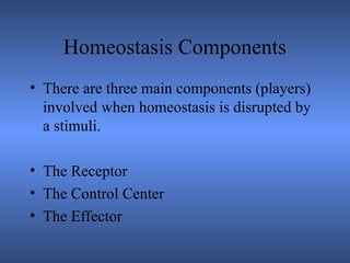 homeostasis feedback.ppt Thermal Regulation | PPT