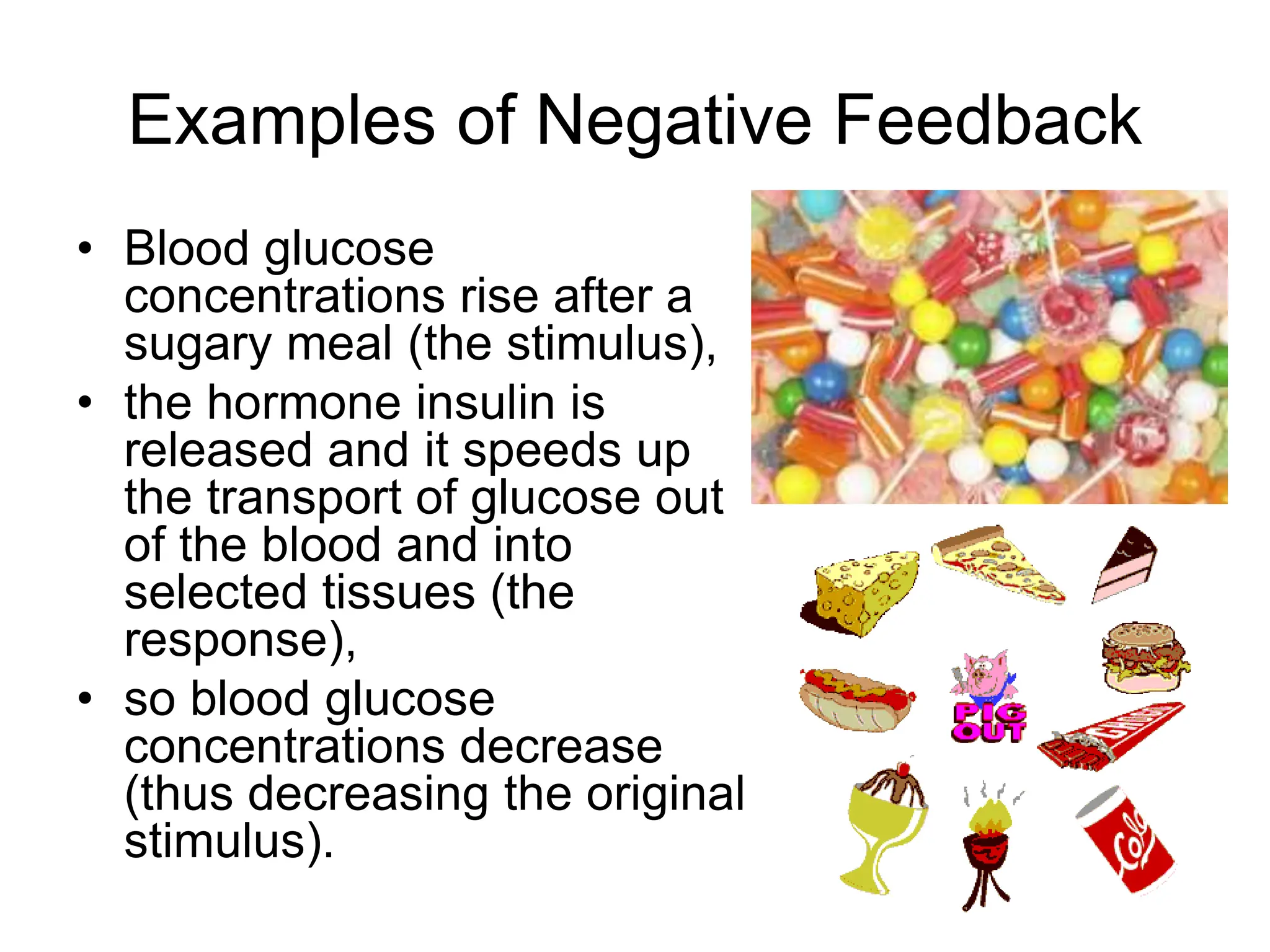 homeostasisfeedbackmechanisms__1_discussion | PPT