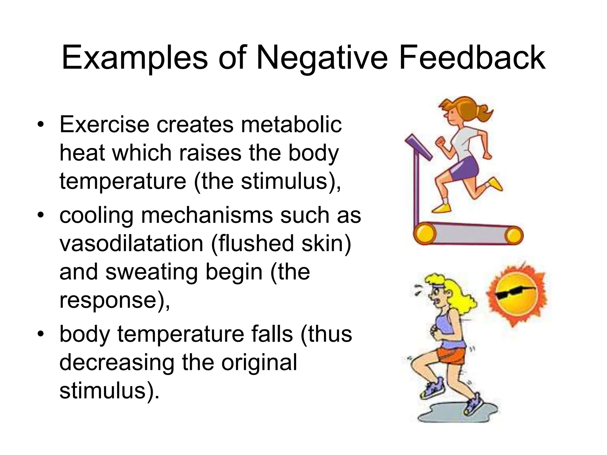 homeostasisfeedbackmechanisms__1_discussion | PPT