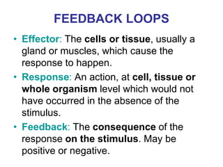 homeostasisfeedbackmechanisms__1_discussion | PPT
