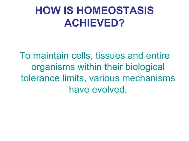 homeostasisfeedbackmechanisms__1_discussion | PPT