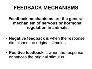 homeostasisfeedbackmechanisms__1_discussion | PPT