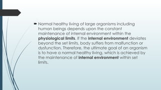 Homeostasis FULL (1 PROF).pptx full body regulation | PPTX