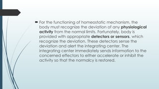 Homeostasis FULL (1 PROF).pptx full body regulation | PPTX