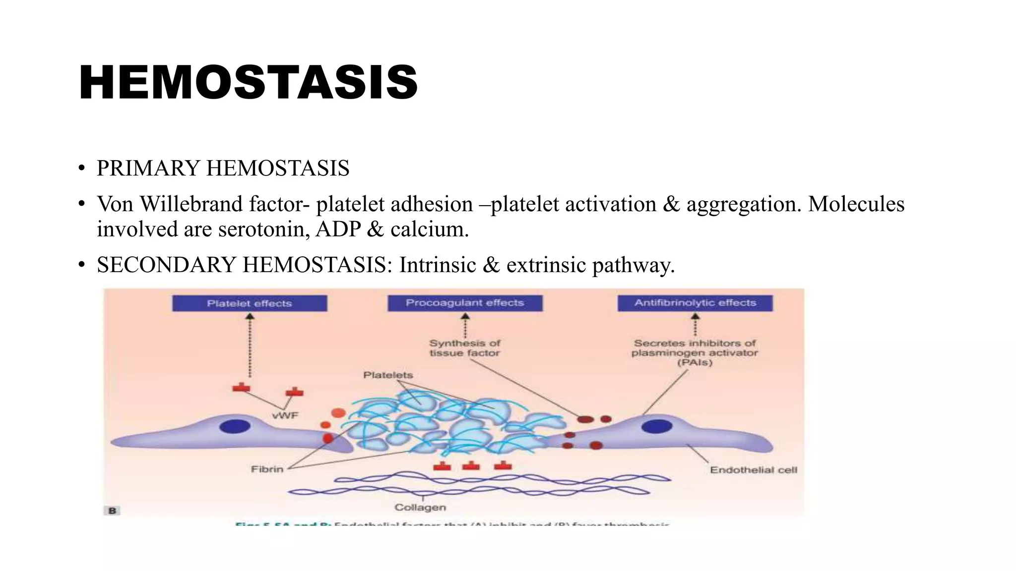 HOMEOSTASIS & HEMOSTASIS.pptx
