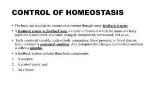 HOMEOSTASIS & HEMOSTASIS.pptx