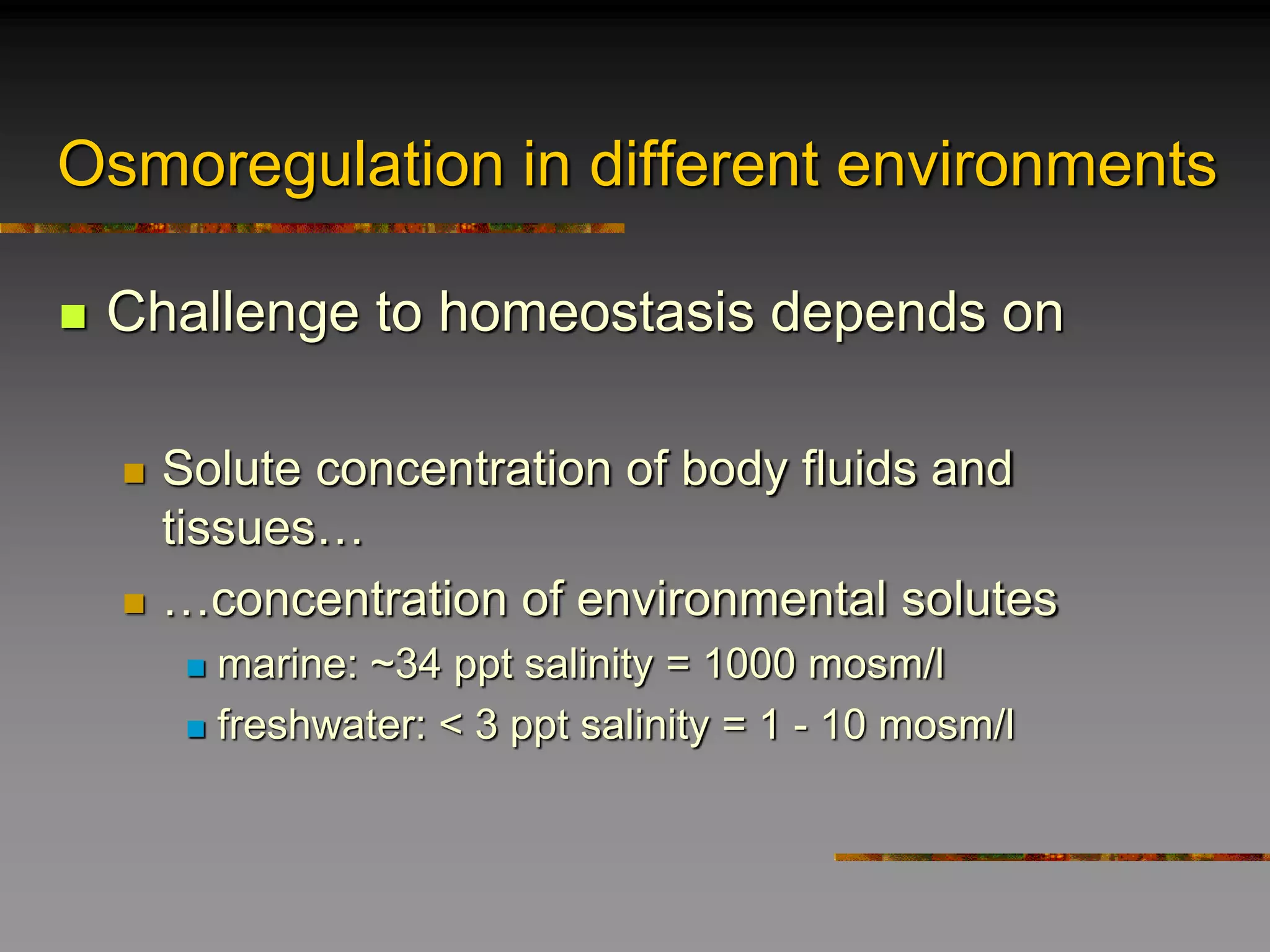 Homeostasis in fishes | PPT