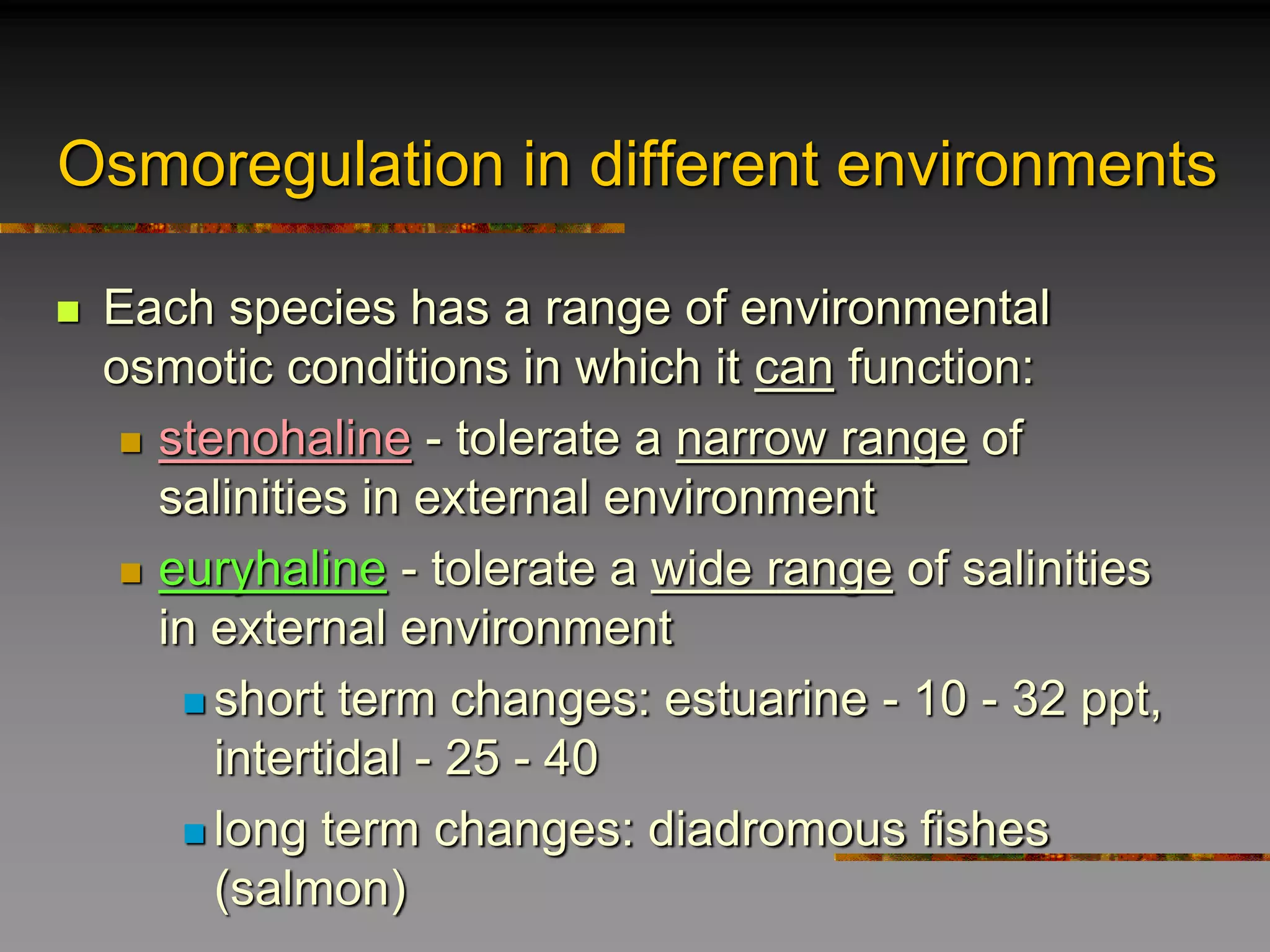 Homeostasis in fishes | PPT