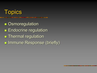 Homeostasis in fishes | PPT