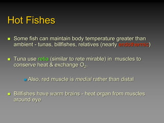 Homeostasis in fishes | PPT