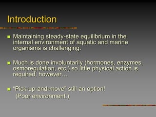 Homeostasis in fishes | PPT