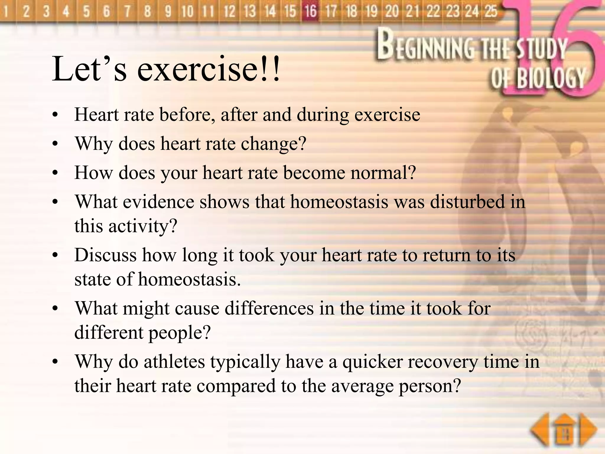 Homeostasis in mammals__igcse | PPT