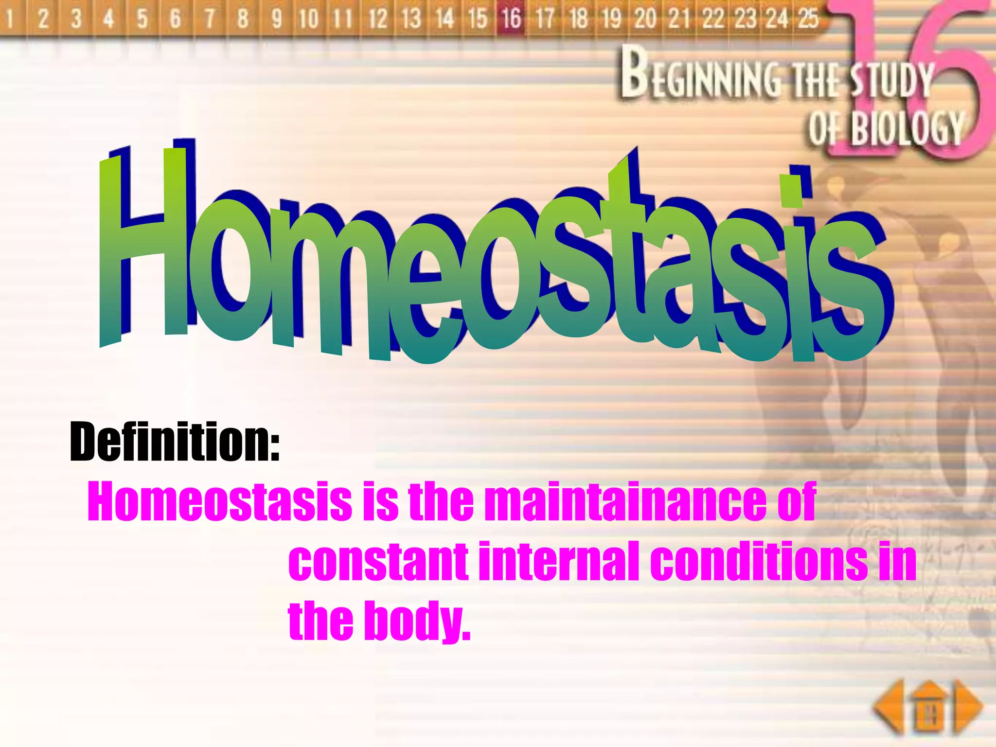 Homeostasis in mammals__igcse | PPT