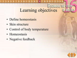 Homeostasis in mammals__igcse | PPT