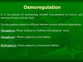 Homeostasis in plants & Types Of Plants On the Basis Of Water ...