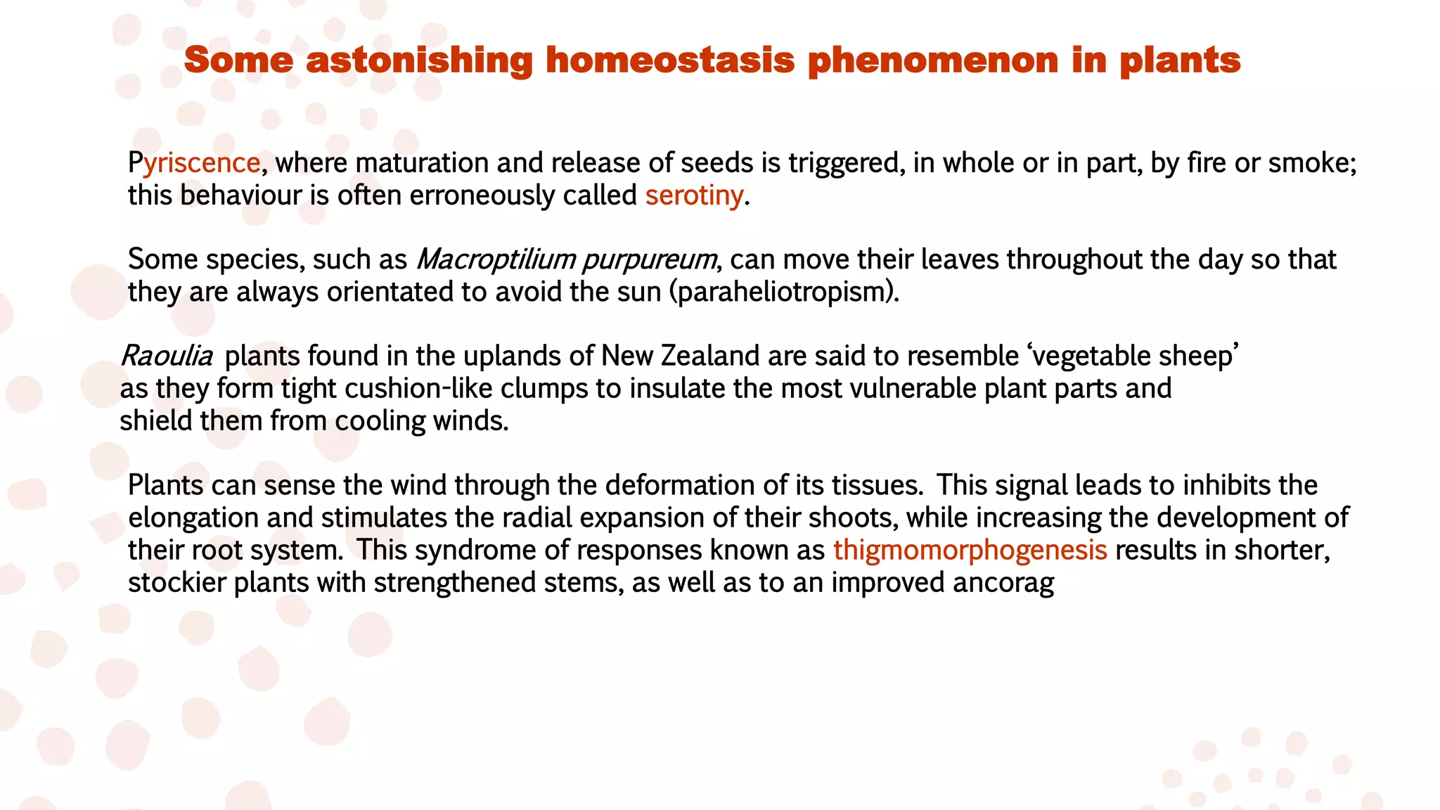 Homeostasis its control mechanism | PPTX