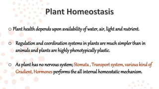 Homeostasis its control mechanism | PPTX | Gardening | Home & Garden