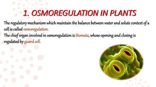 Homeostasis its control mechanism | PPTX