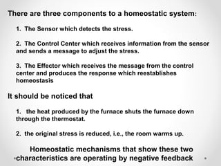 Homeostasis | PPT