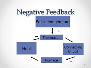 Negative Feedback Loop Thermostat