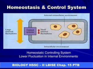 Homeostasis LBISE HSSC - II Chap. 15 | PPT
