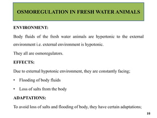 Homeostasis (Lecture 3).ppt