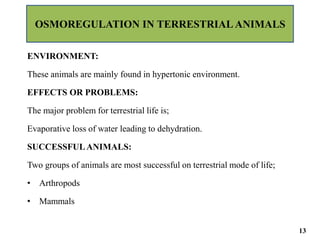 Homeostasis (Lecture 3).ppt