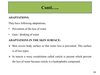 Homeostasis (Lecture 3).ppt