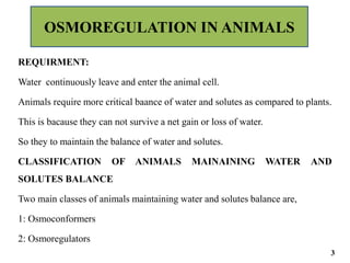 Homeostasis (Lecture 3).ppt