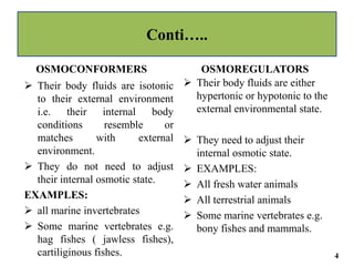 Homeostasis (Lecture 3).ppt