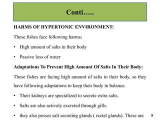 Homeostasis (Lecture 3).ppt