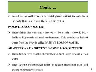 Homeostasis (Lecture 3).ppt