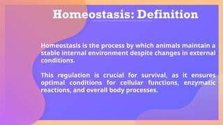 Homeostasis, their coordination and functions in Animals | PPTX
