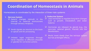 Homeostasis, their coordination and functions in Animals | PPTX