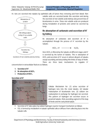 Homeostasis, maintenance of blood ph | PDF